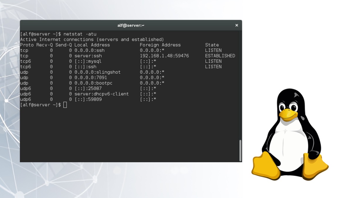 La guía para dominar Nmap y Netcat
