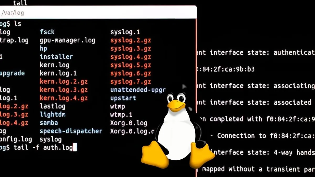 Cómo gestionar las conexiones de red de Linux mediante nmcli y el terminal